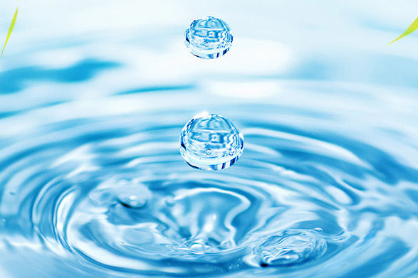 Nutrient Control Basics | Hydrohobby Hydroponics UK